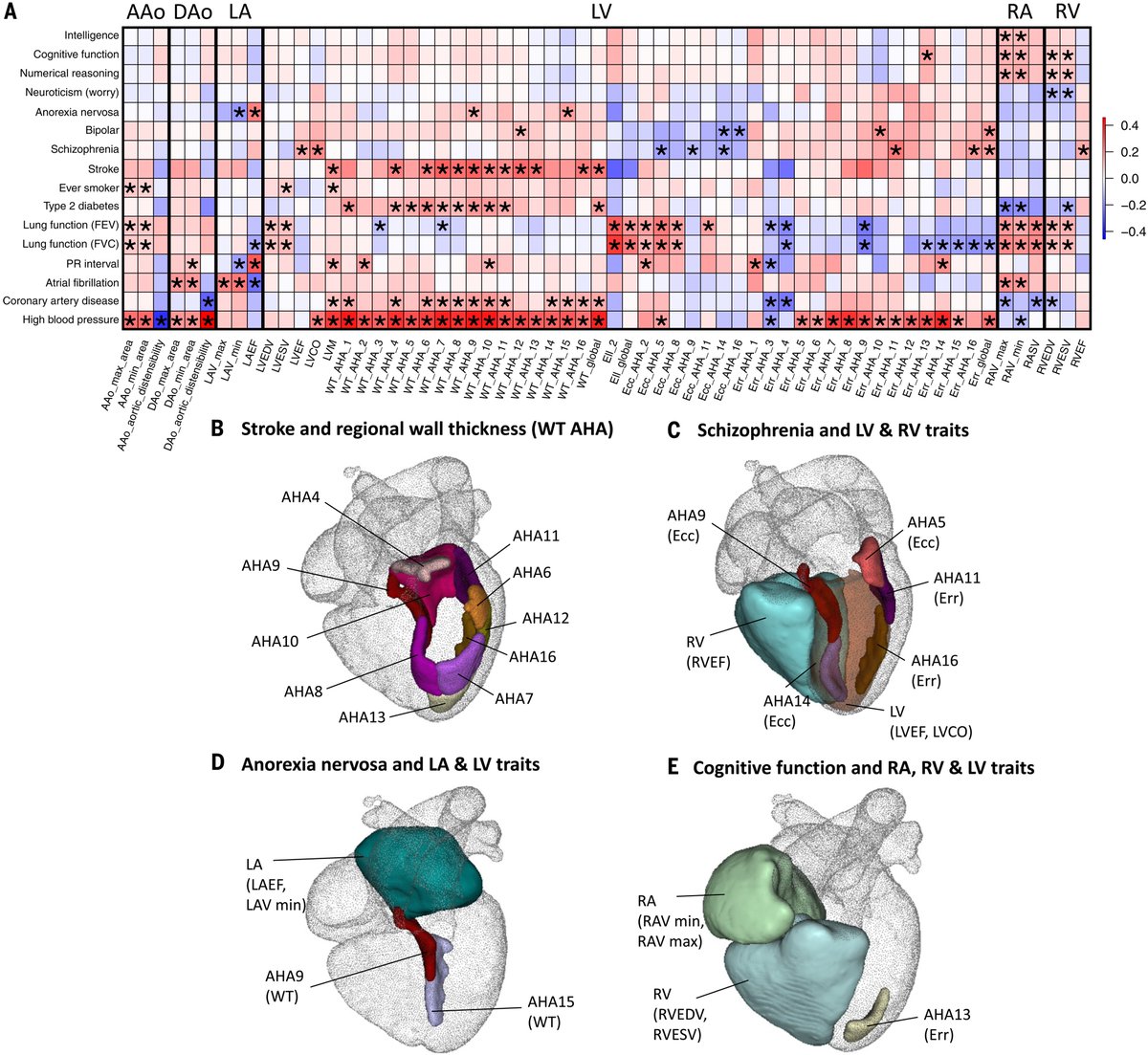 The heart and brain are interconnected. 🧵1/11 - Thread from Nicholas ...