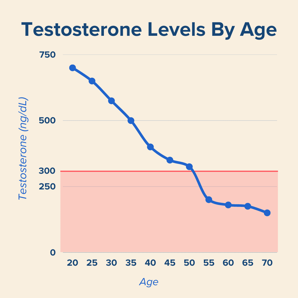 Men’s testosterone levels begin to decline by 1-2% per year after age ...