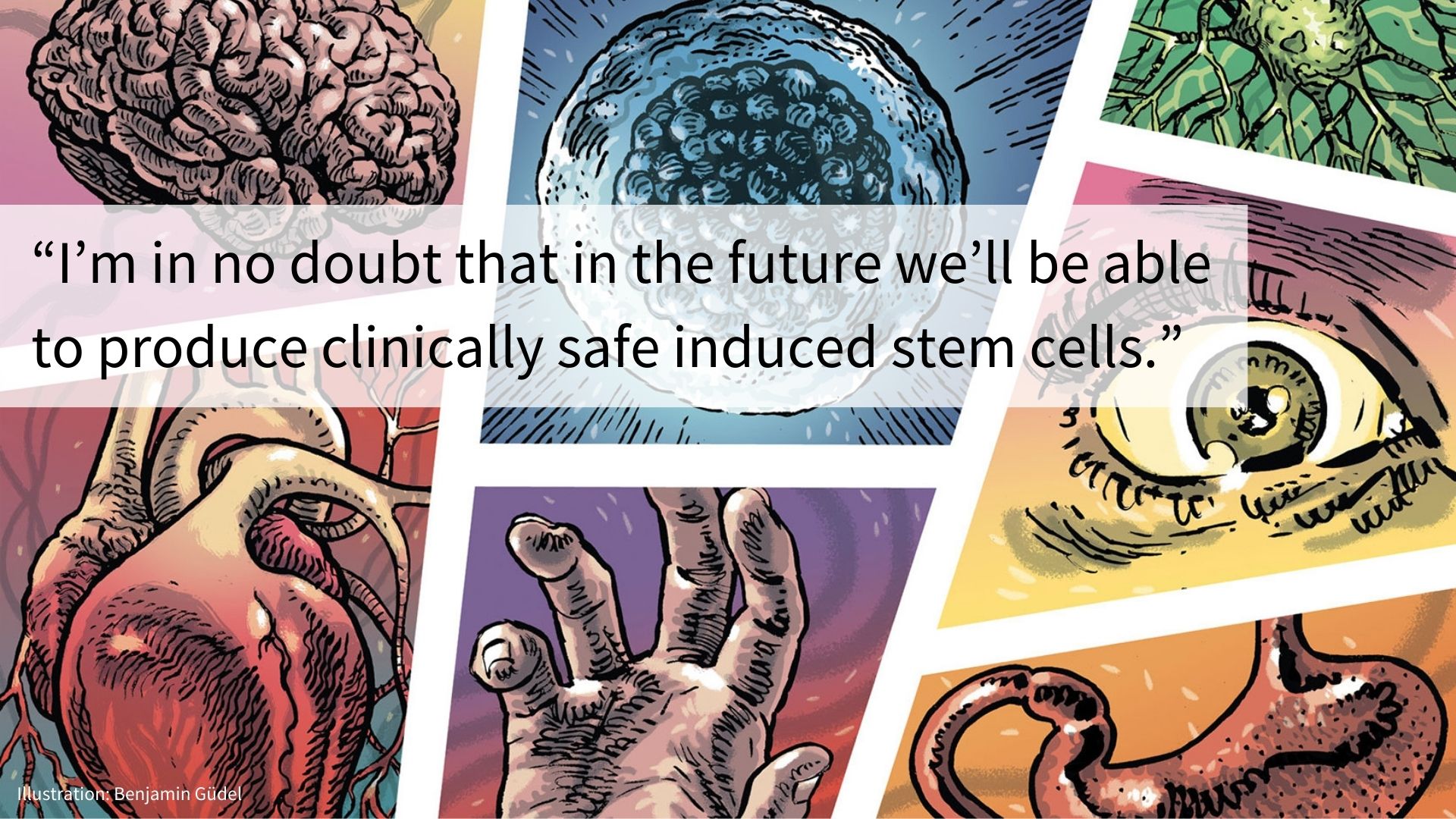 Stem Cell Tattoos How To Brighten Your Tattoo – Reuzel