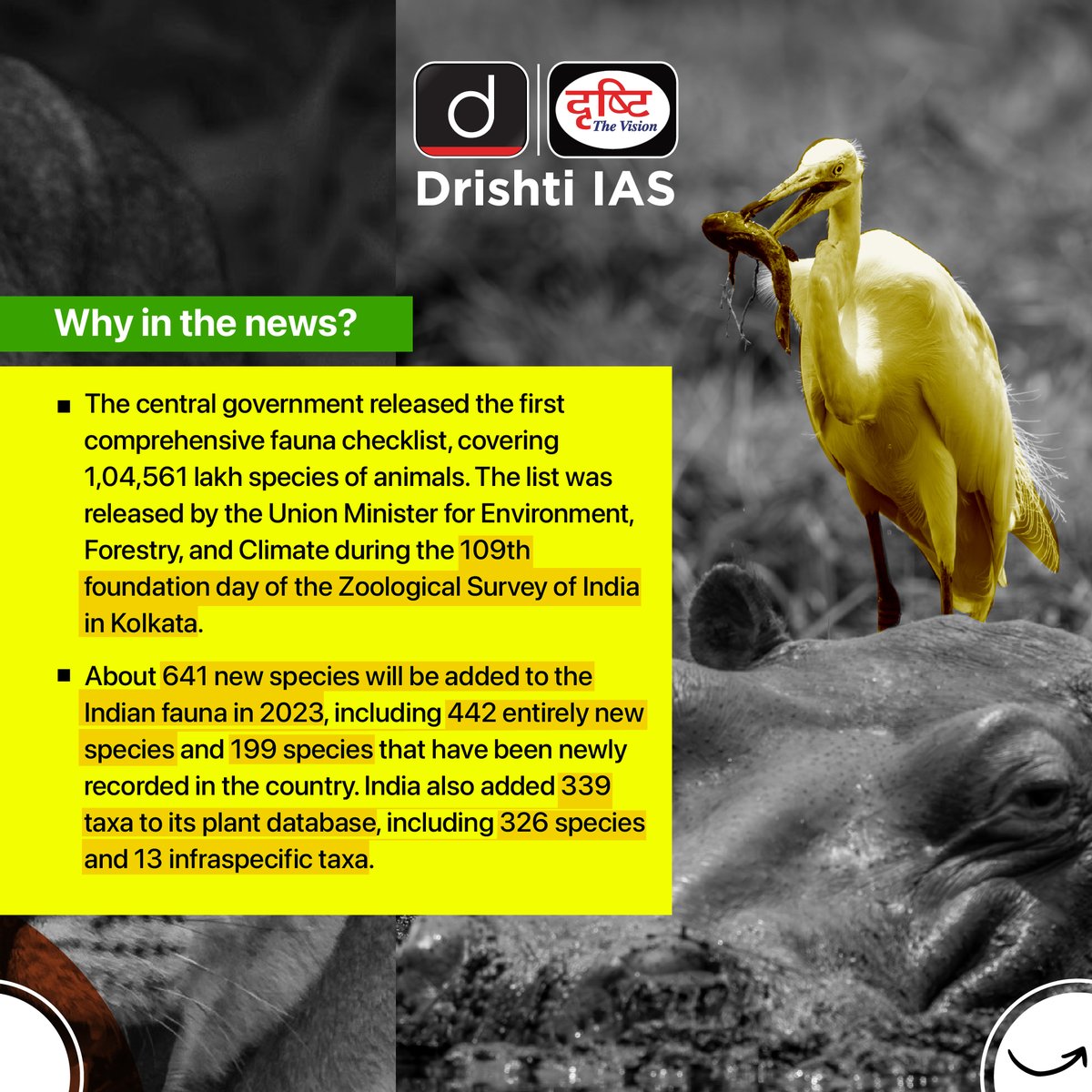 Ias Bird Checklist American Birding Association, Author At American