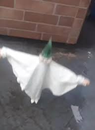 AllyTS @NewTioSans profile | Muskviewer