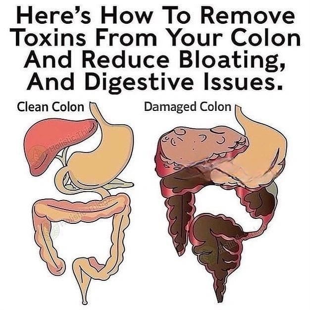 Dr. Martin Hartmann's Threads – Thread Reader App