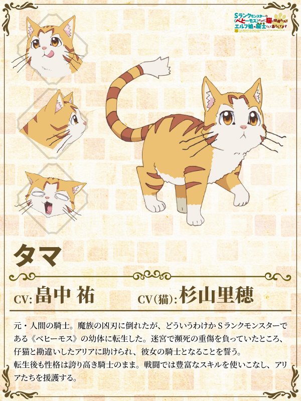 【情報】動畫《S級怪獸《貝希摩斯》被誤認成小貓（略）》主要角色設定圖介紹 @S 級怪獸《貝希摩斯》被誤認成小貓，成為精靈女孩的騎士（寵物）一起 ...