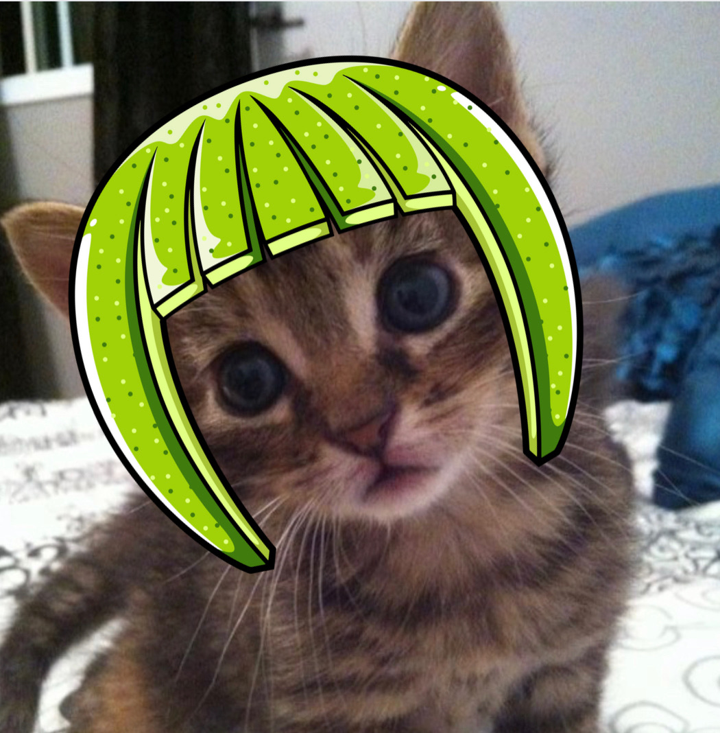 Lime Helmet Cat