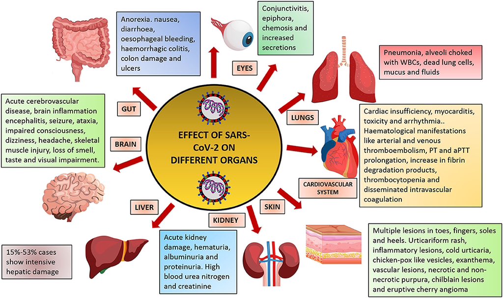 A new approach to prevent irreversible organ damage in Covid19 & other ...