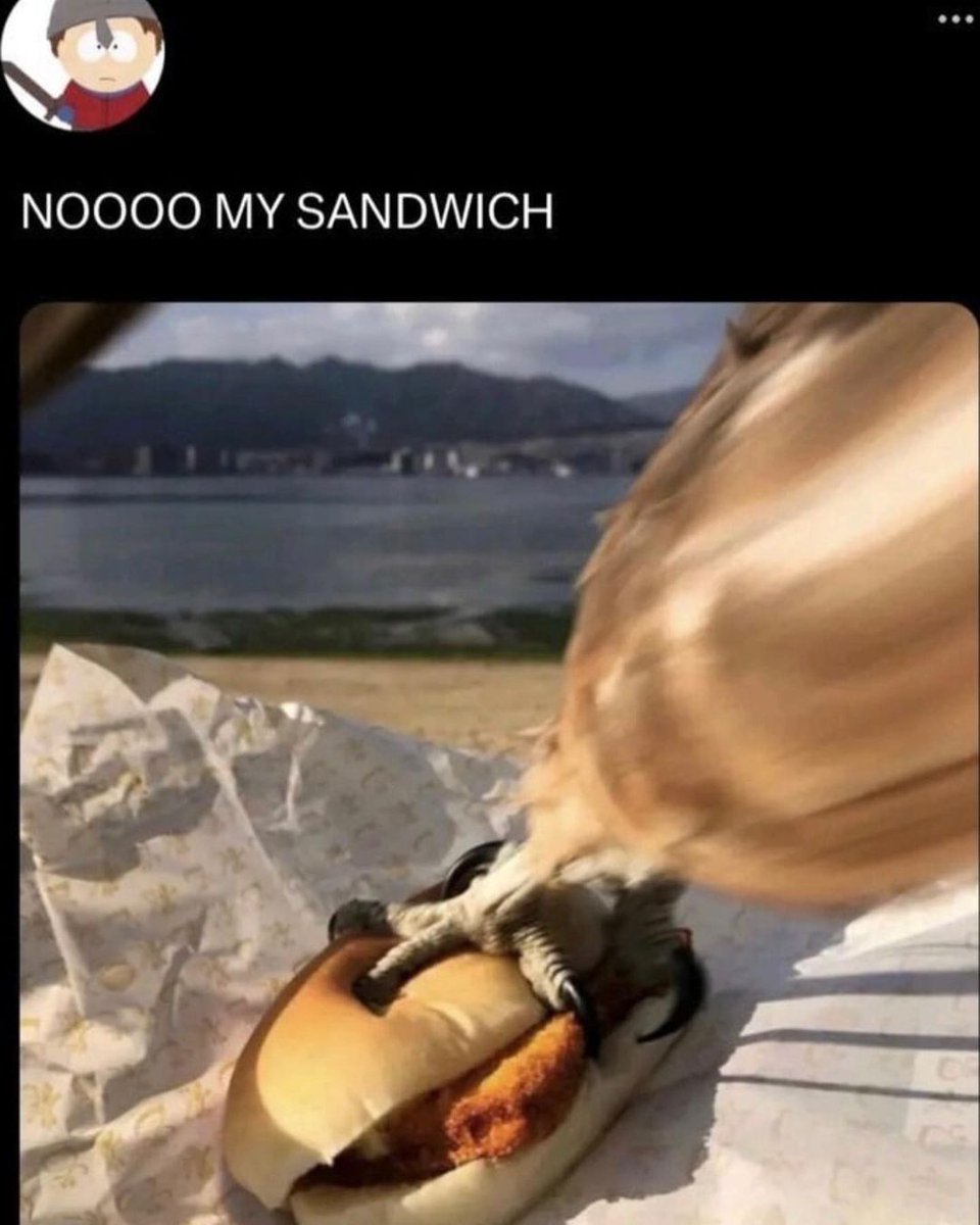Chickenburger Memes