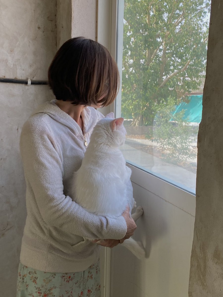 はなもも(hanamomo)(@hanamomoact) - Twilog (ツイログ)