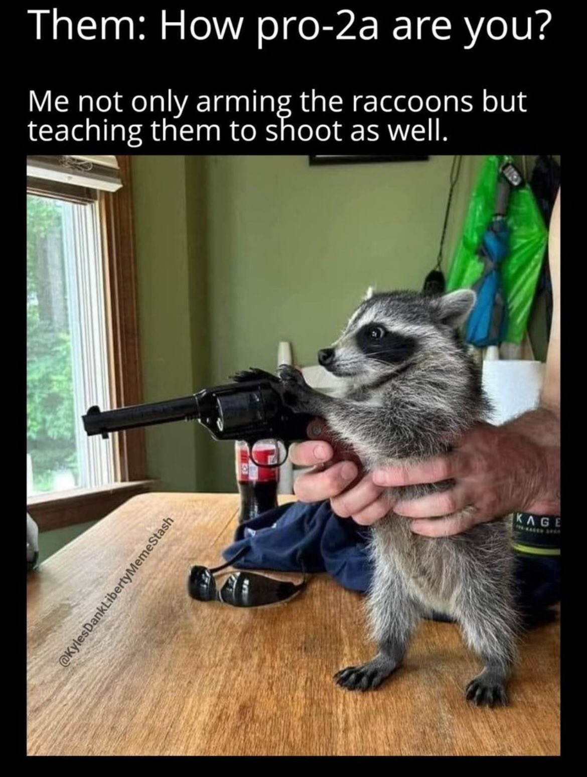 Shoot Raccoon Memes Dead Raccoon Spotted Holding 'Get Well' Balloon