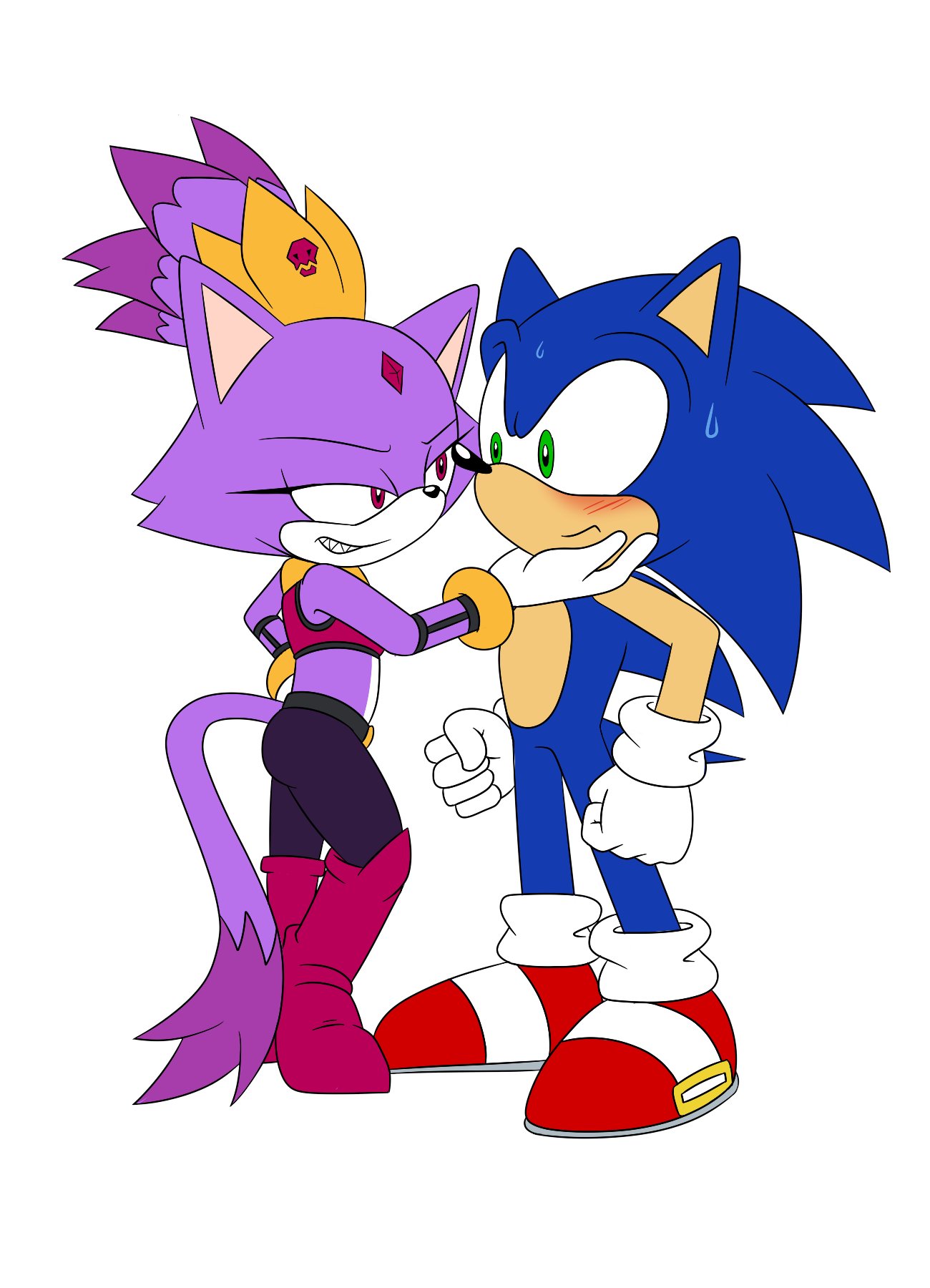 Sonic The Hedgehog And Blaze The Cat Kissing