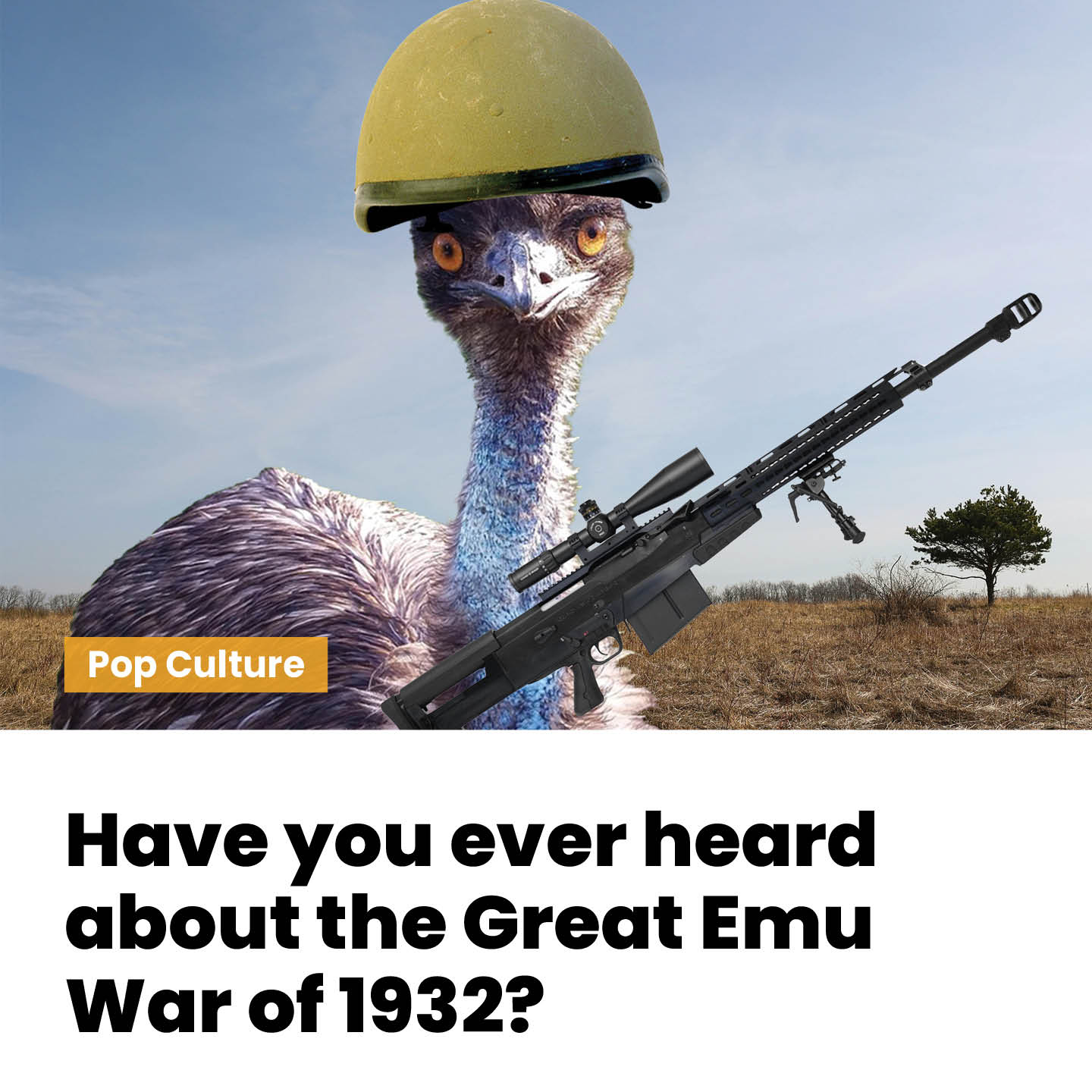 Australian Gun Memes West Indies Win Their First Test On Australian