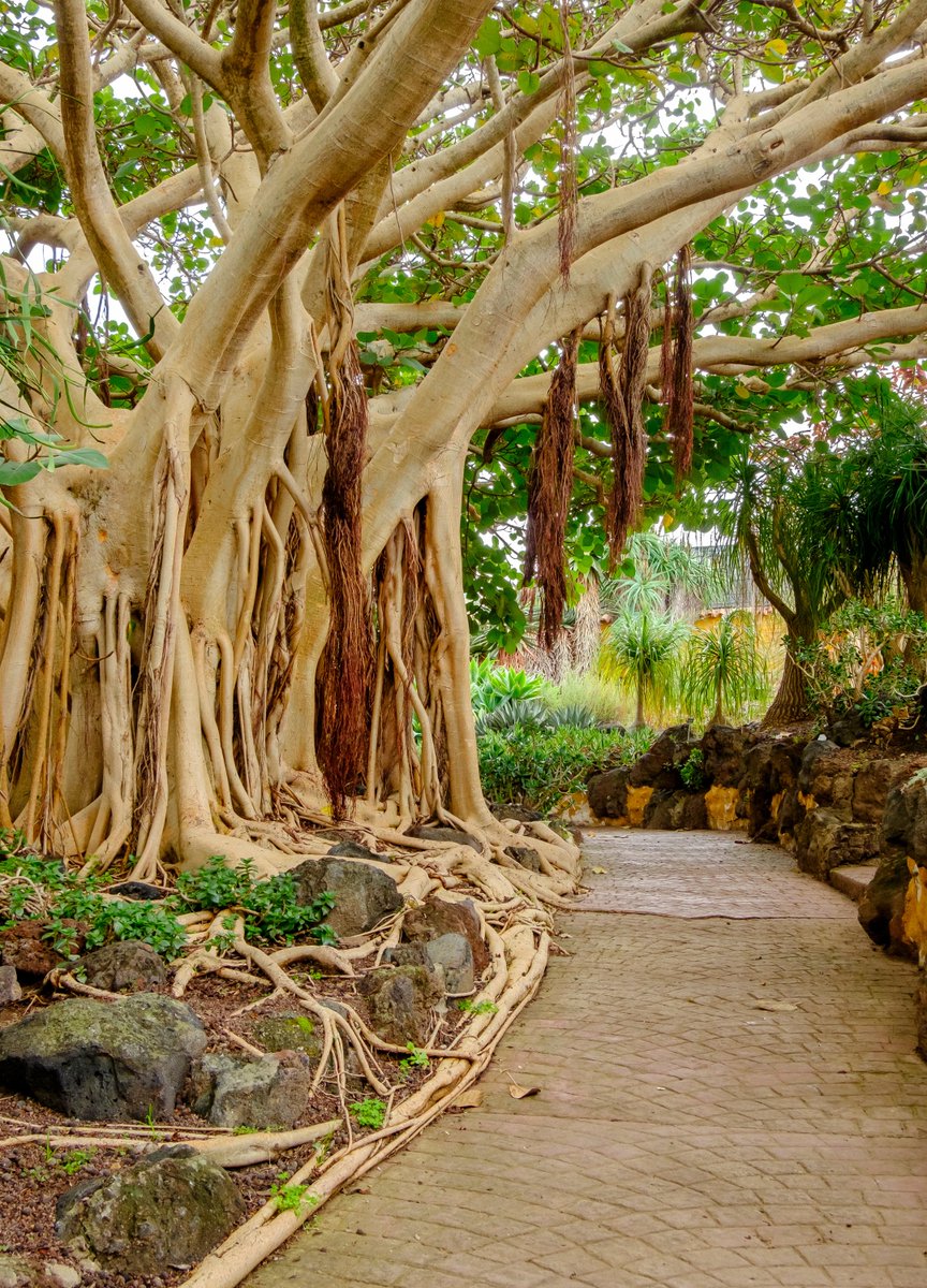 The most colossal sites in Spain: (a 🧵) 1. The Largest Music Hall ...
