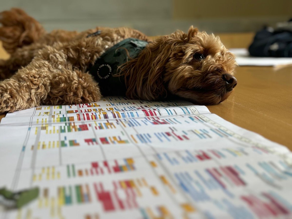 The Halifax Academy – 4 – 16 through school