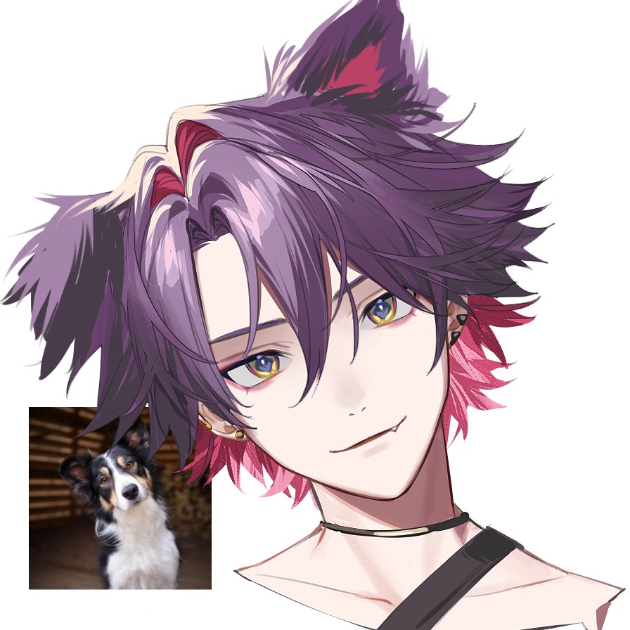 「ボーダーコリー #わたらいらすと 」|KAOHOM |🦁🔗😈♦ CQ6 postcard รอบไปรในปักหมุดค่าのイラスト