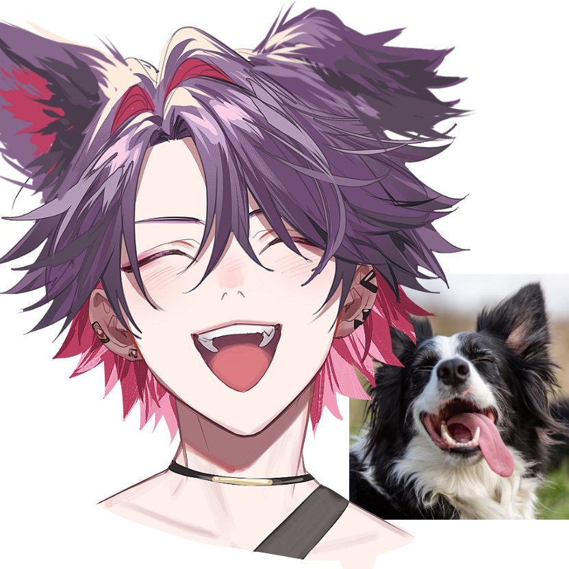 「ボーダーコリー #わたらいらすと 」|KAOHOM |🦁🔗😈♦ CQ6 postcard รอบไปรในปักหมุดค่าのイラスト