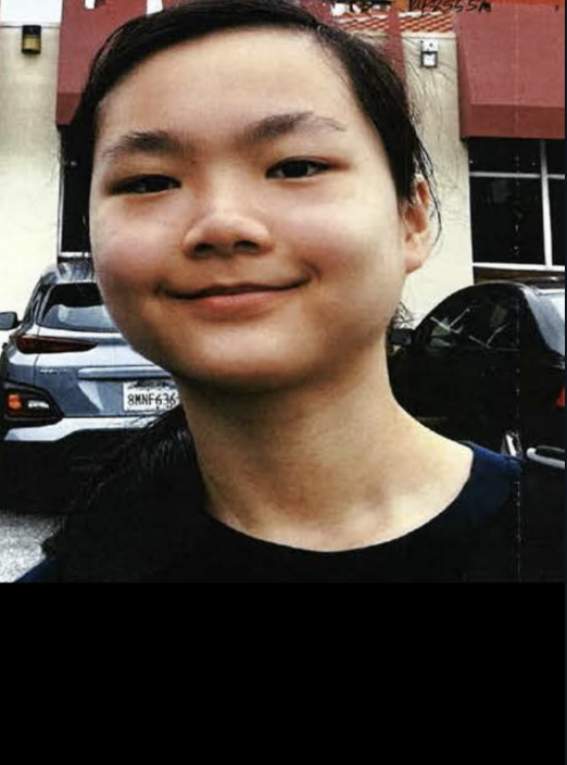 Allison Chao's Instagram, Twitter & Facebook on IDCrawl