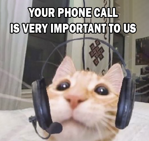 Call Center Cat Meme Hardworking Cat Works In A Call Center With A