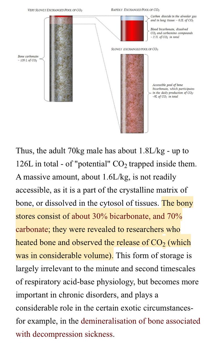 Copper and iron balance determines bone stability Iron is the main ...