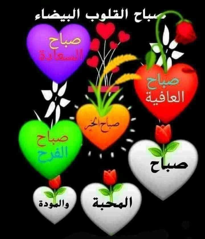 الكبير اوي اوي (@ty_salm63681) / Posts / X