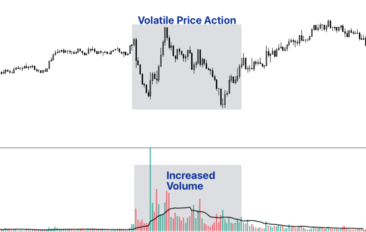 I started in crypto with $500. Now I am financially free. "Trading" influencers will charge you ...