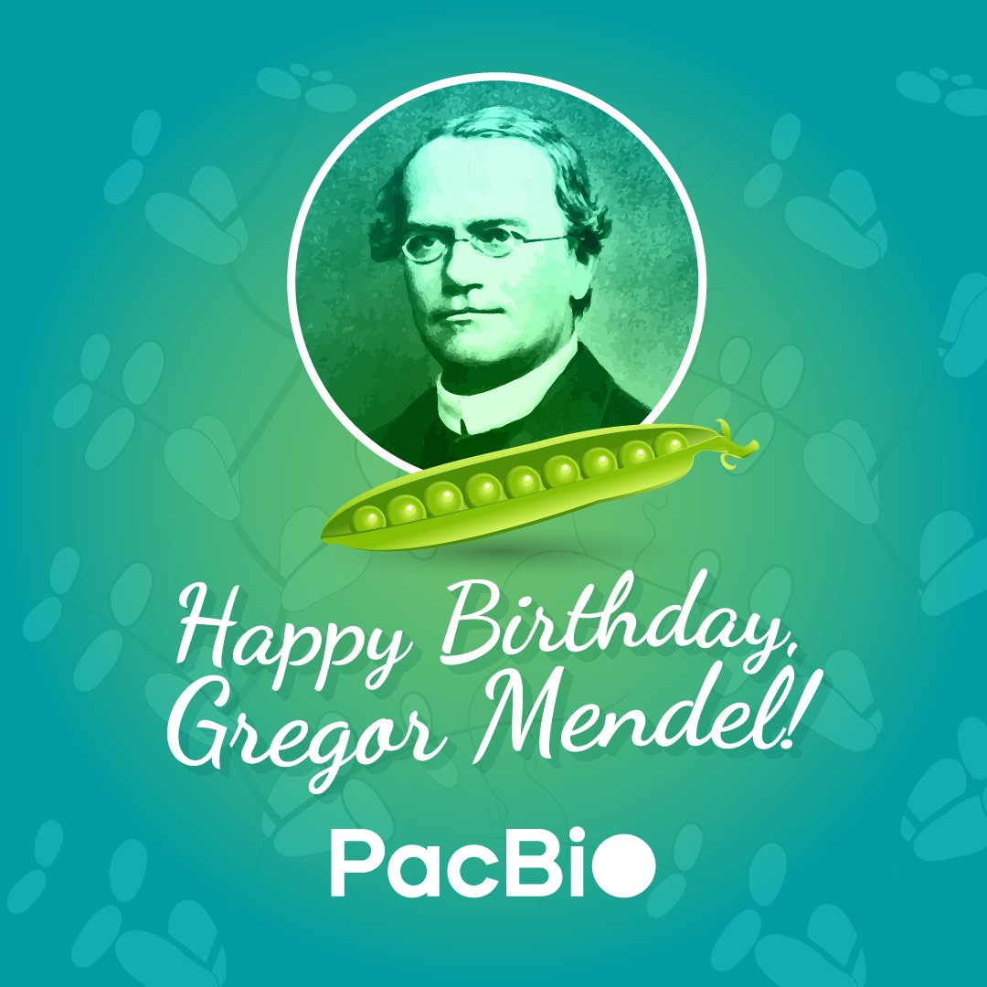 Gregor Mendel Discoveries The Monk In The Garden : The Lost And Genius