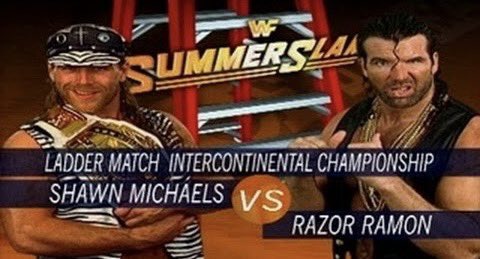 Shawn Michaels 1995 1995 WWF Wrestling Trading Cards (Merlin) Shawn