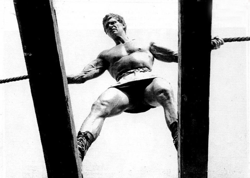 Gordon Mitchell Gordon Mitchell | The Anaconda Series Wiki | Fandom