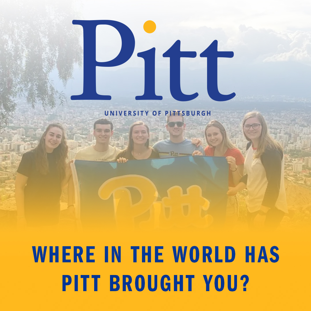 University Of Pittsburgh Script Amazon.com: College Flags & Banners