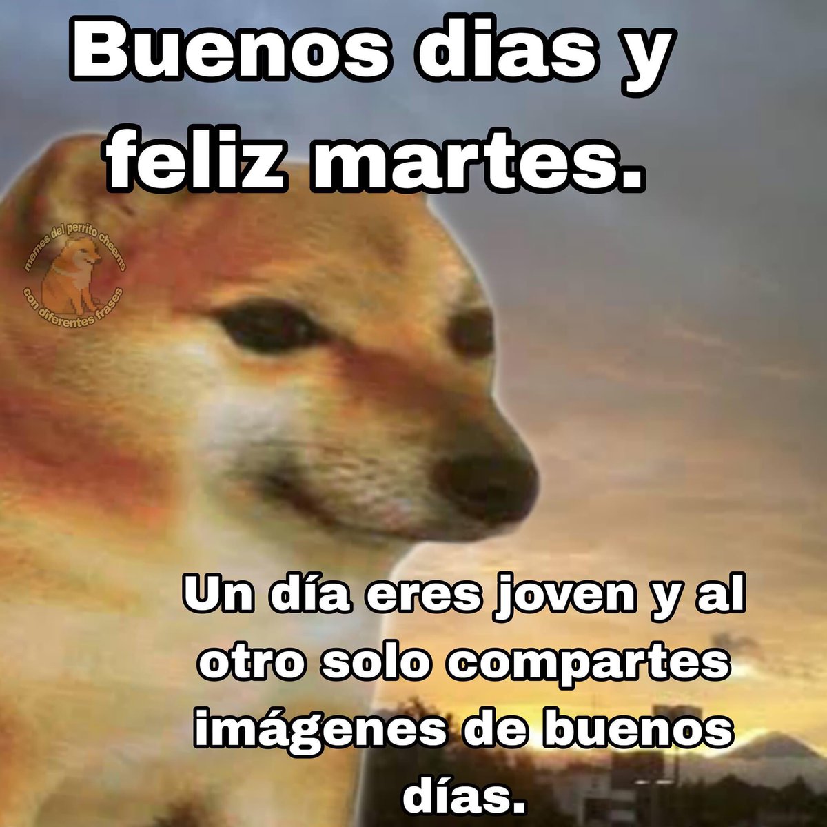 Feliz Martes Meme