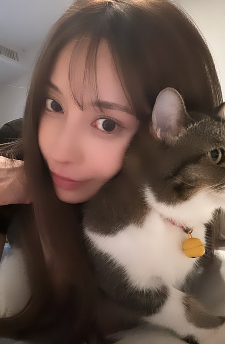 七瀬アリス 🐱 Nanase Alice(@Alice_Nanase_ ):1チュールでツーショOK