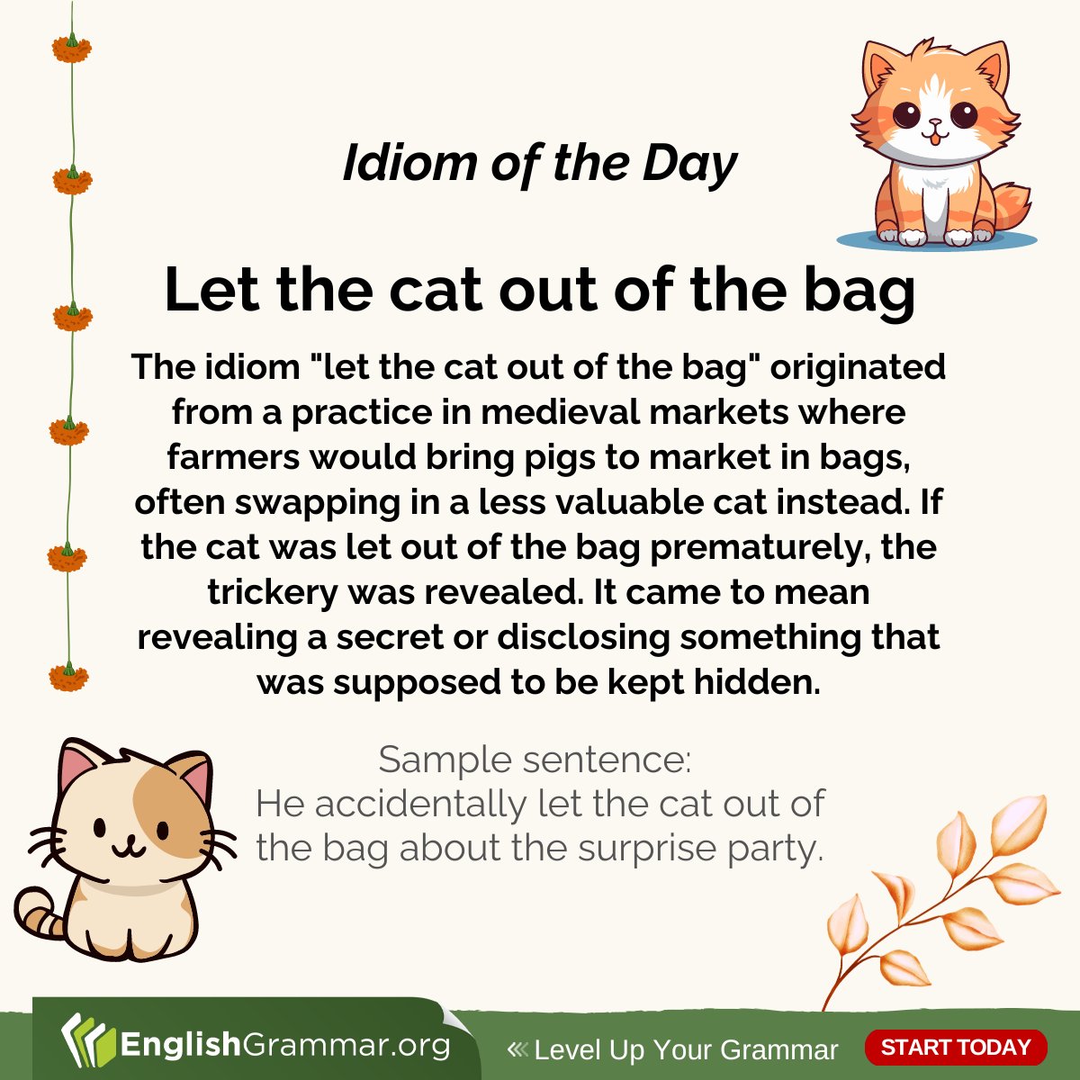 What Does It Mean To Let The Cat Out The Bag