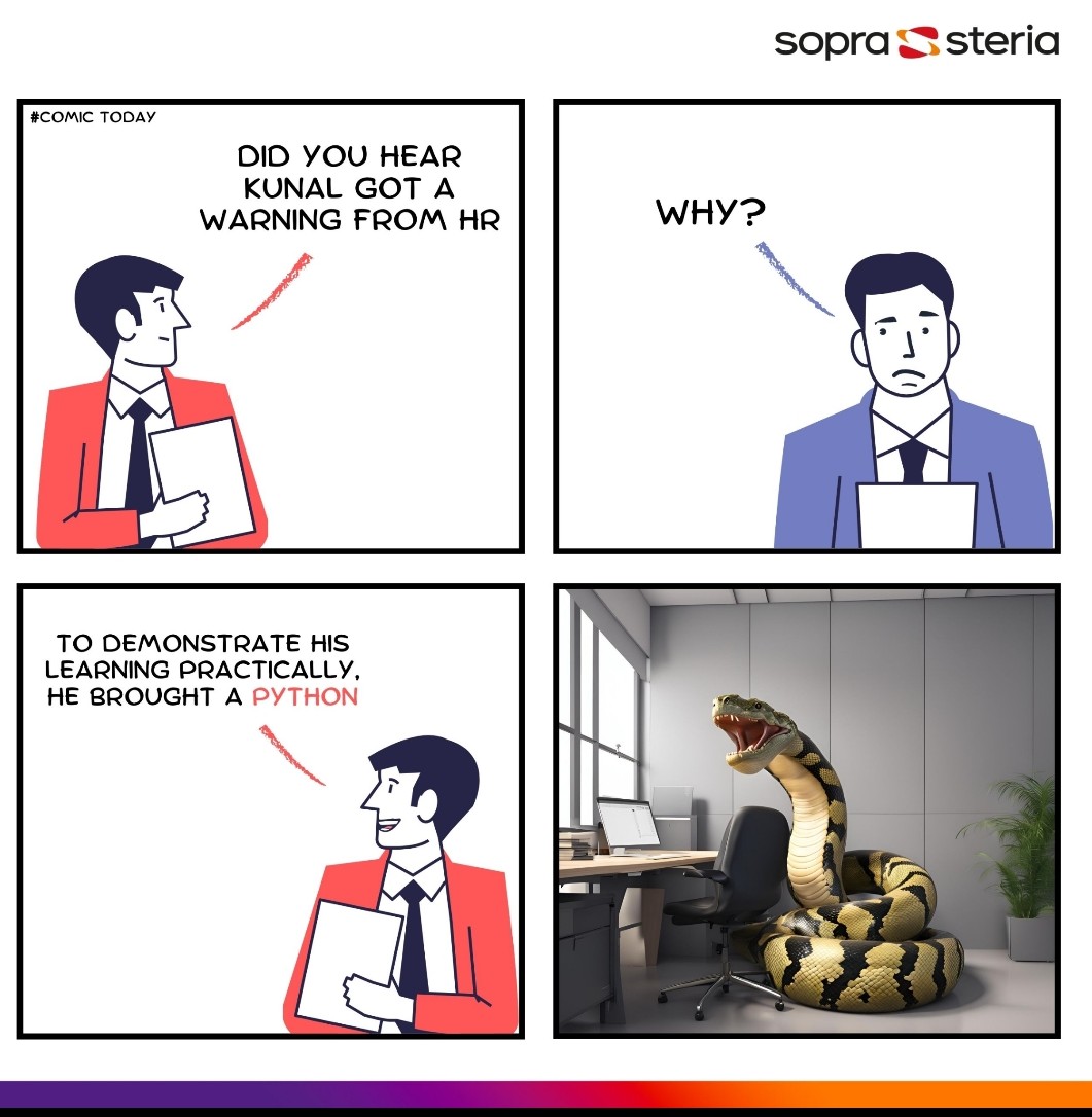 Python Language Comic Xkcd: Standards