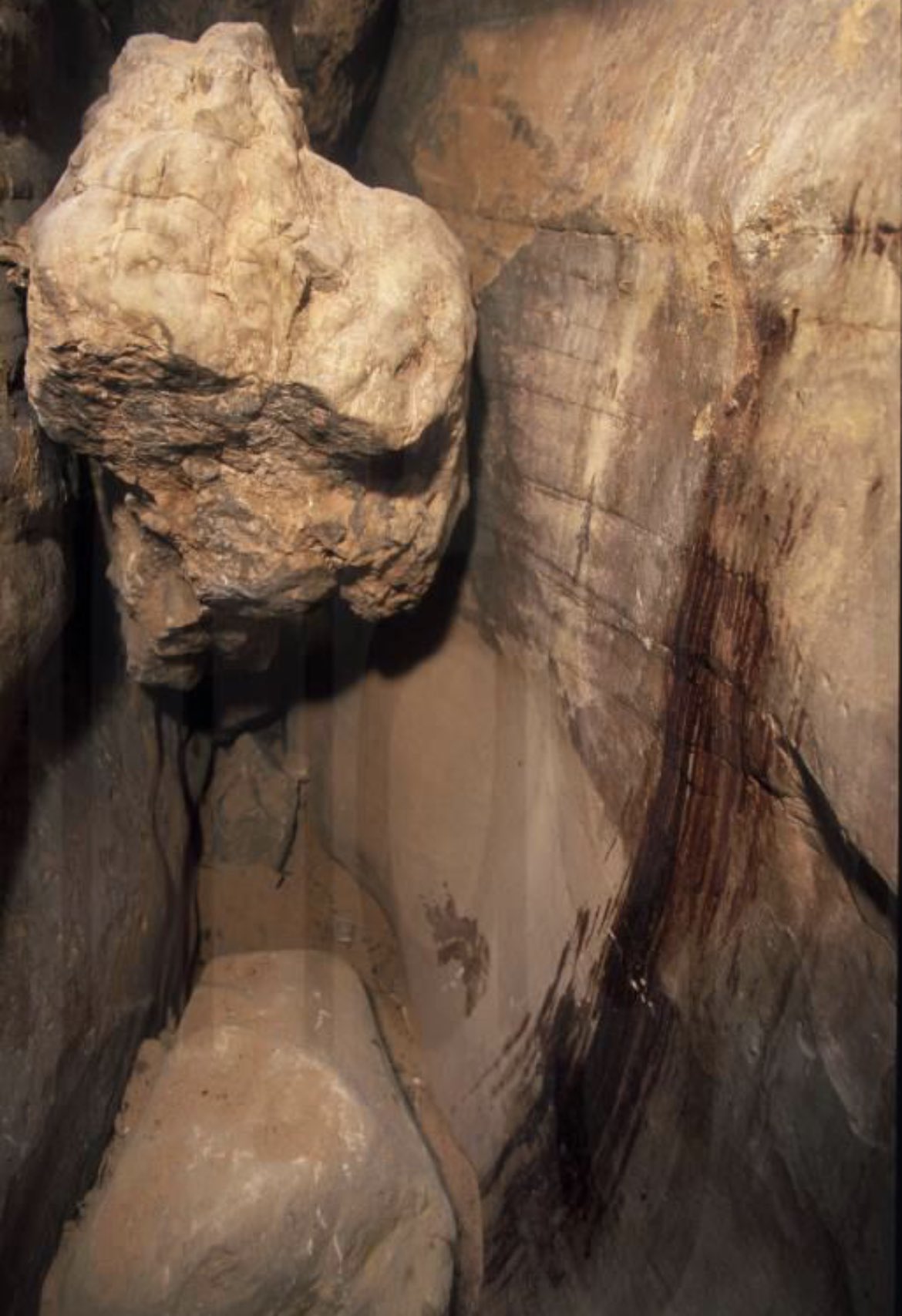 Aron Ralston Arm