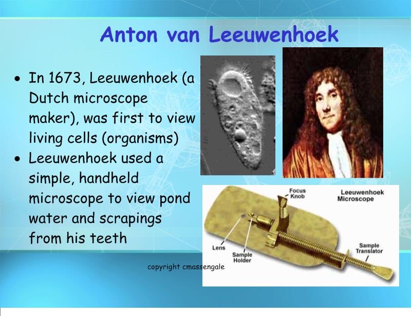 Anton Van Leeuwenhoek Cells
