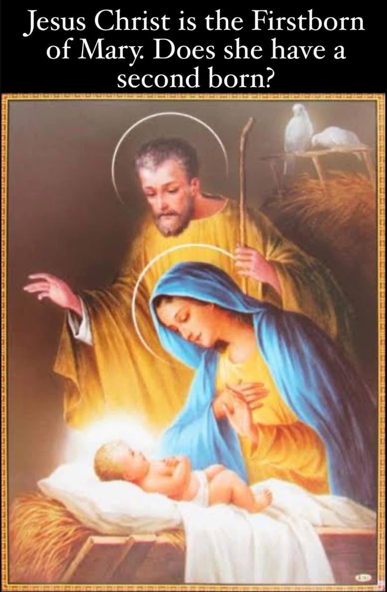Jesus Christ is the Firstborn of Mary. Does she have a second born ...
