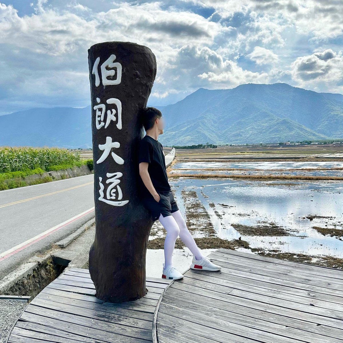 Pman Li (@li_pman) / Posts / X