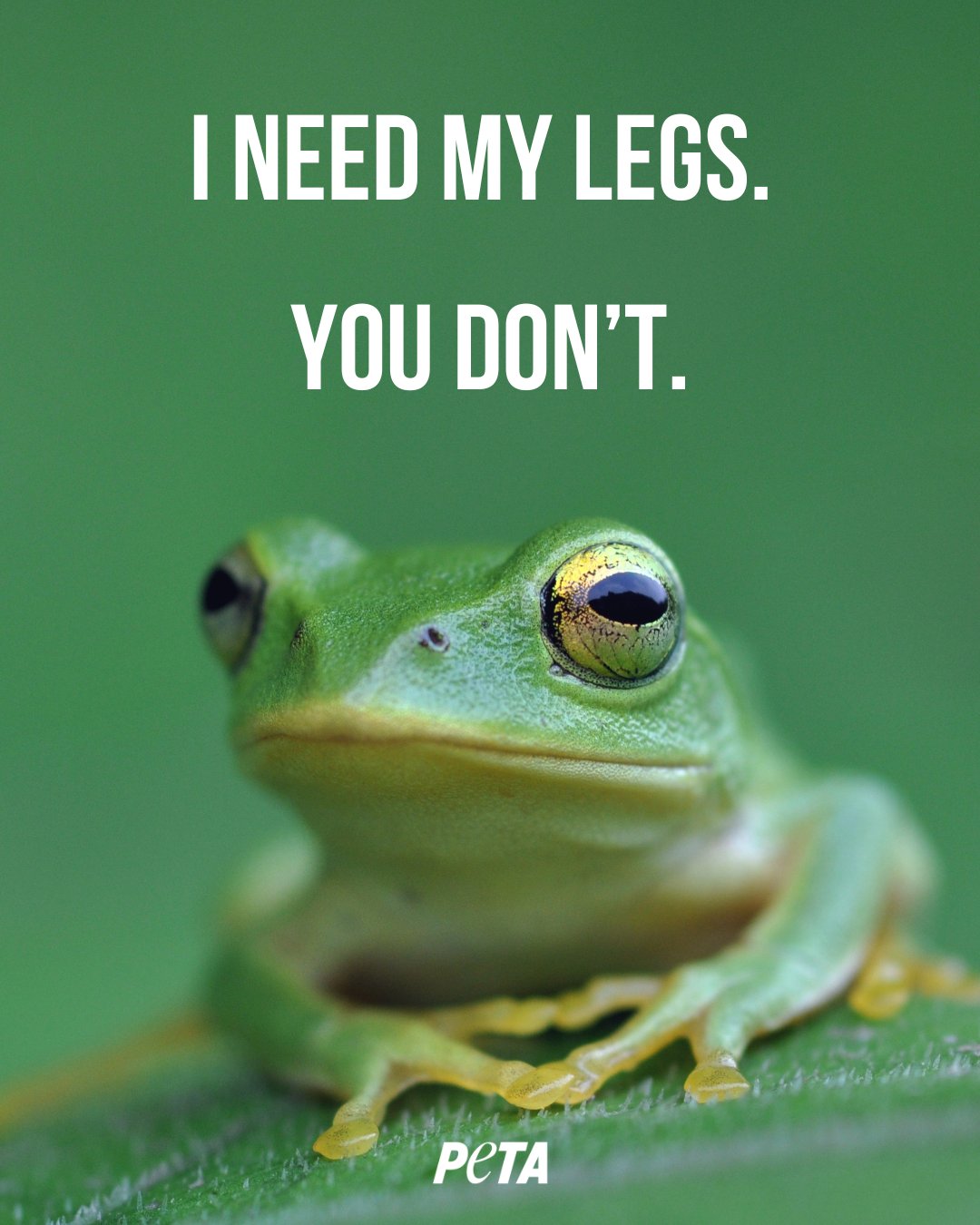 Frog Leg Memes Purple Pepe The Frog With German Flag Legs On Craiyon