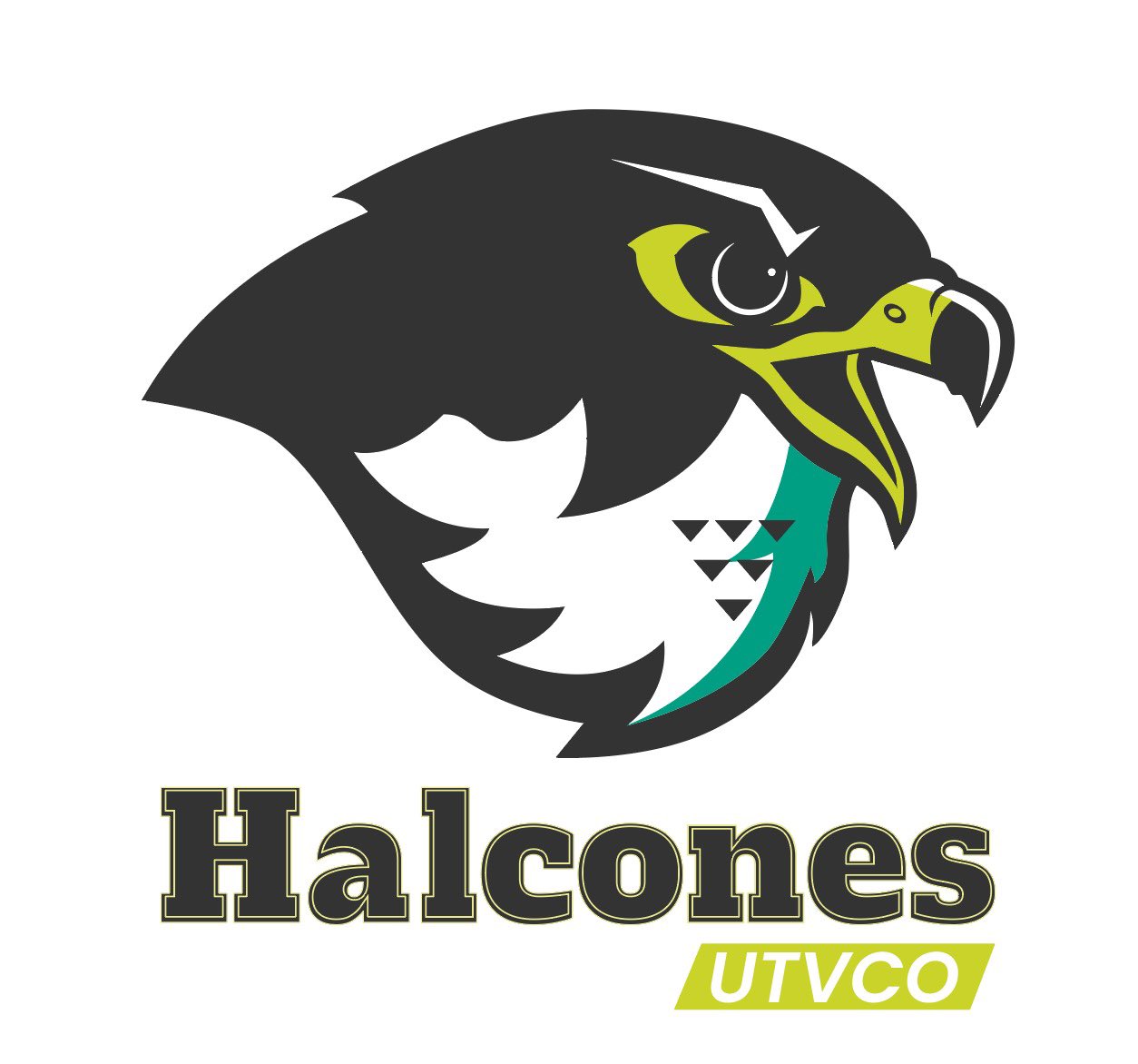 Otros Logotipos De Halcones Ilustración De El Diseño Del Logotipo De