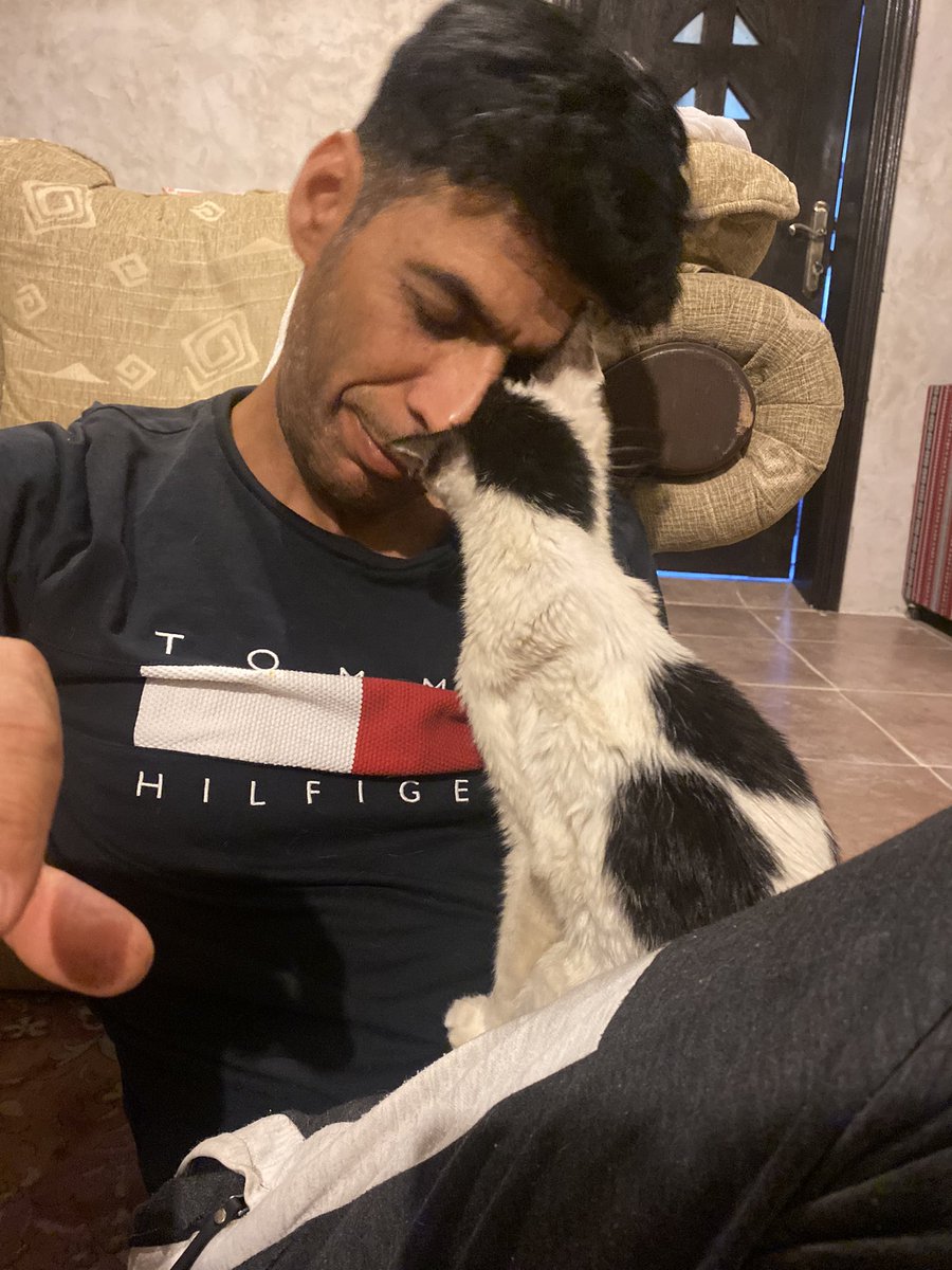 はなもも(hanamomo)(@hanamomoact) - Twilog (ツイログ)