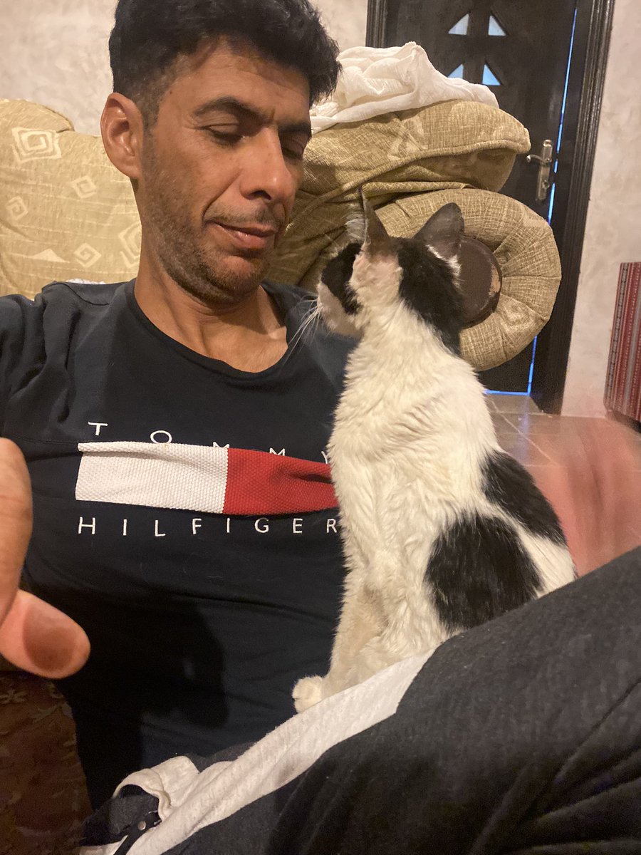 はなもも(hanamomo)(@hanamomoact) - Twilog (ツイログ)