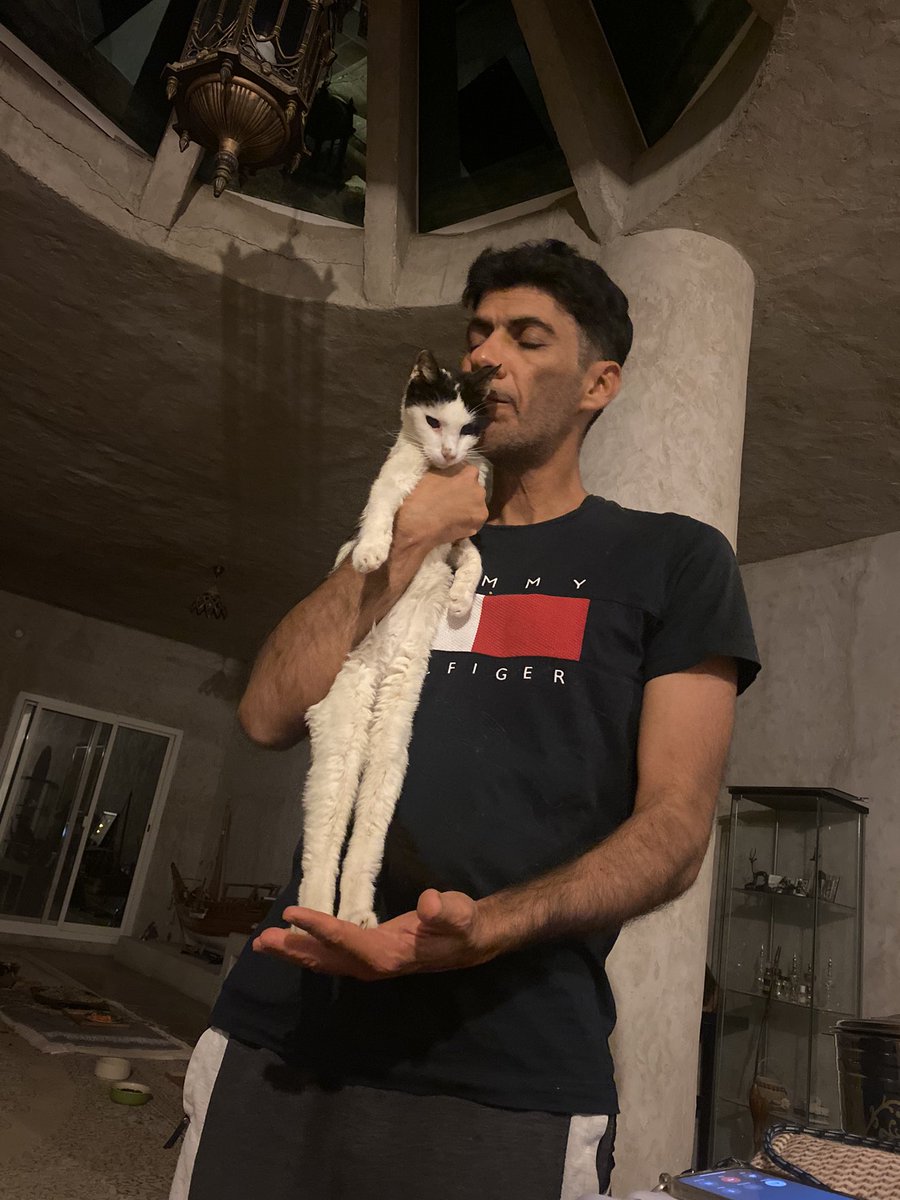 はなもも(hanamomo)(@hanamomoact) - Twilog (ツイログ)