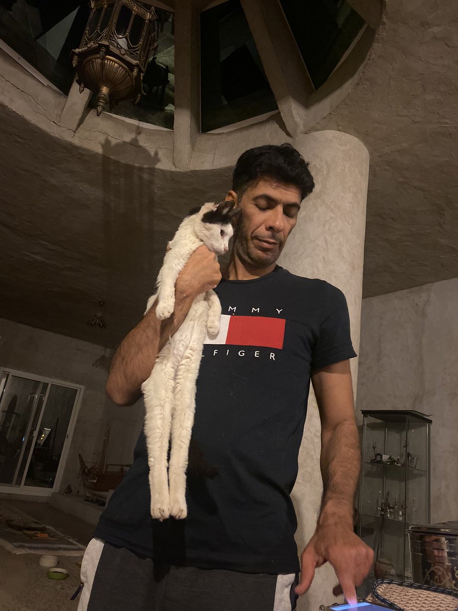 はなもも(hanamomo)(@hanamomoact) - Twilog (ツイログ)