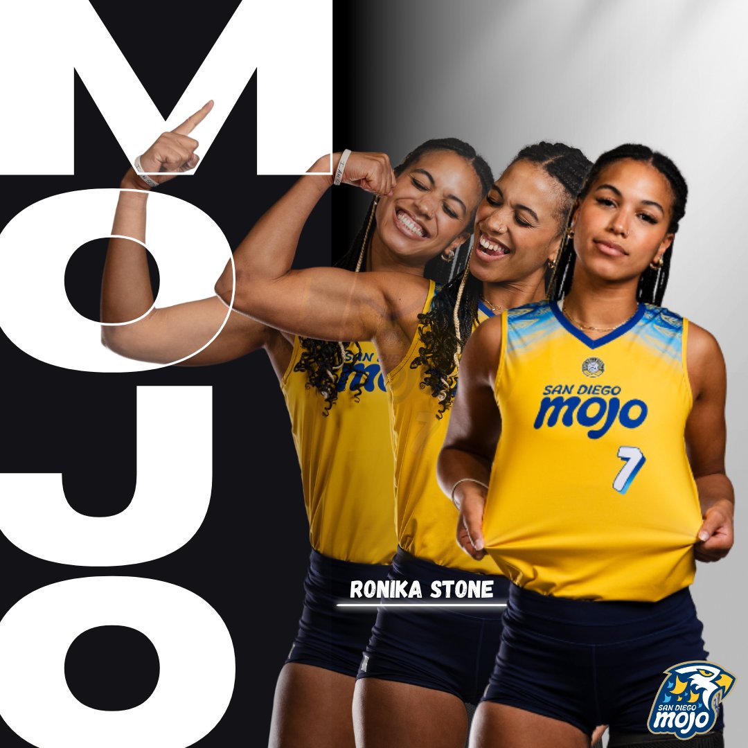 Pro Volleyball Federation Branding - Page 5 - Sports Logo News - Chris Creamer's Sports Logos ...