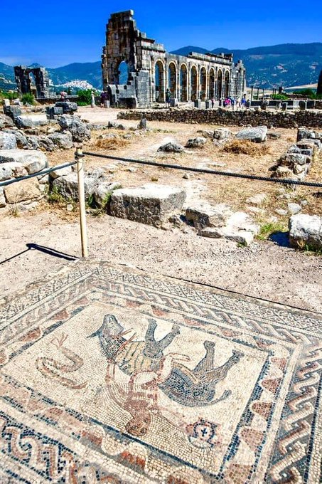 What secrets and untold stories lie hidden in the ancient ruins ...