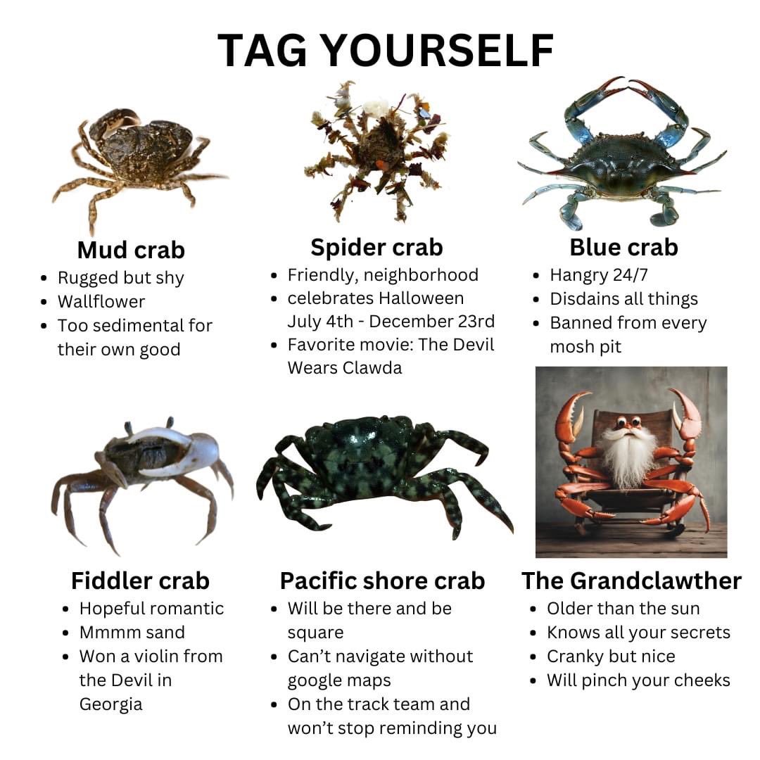 Blue Crab Memes
