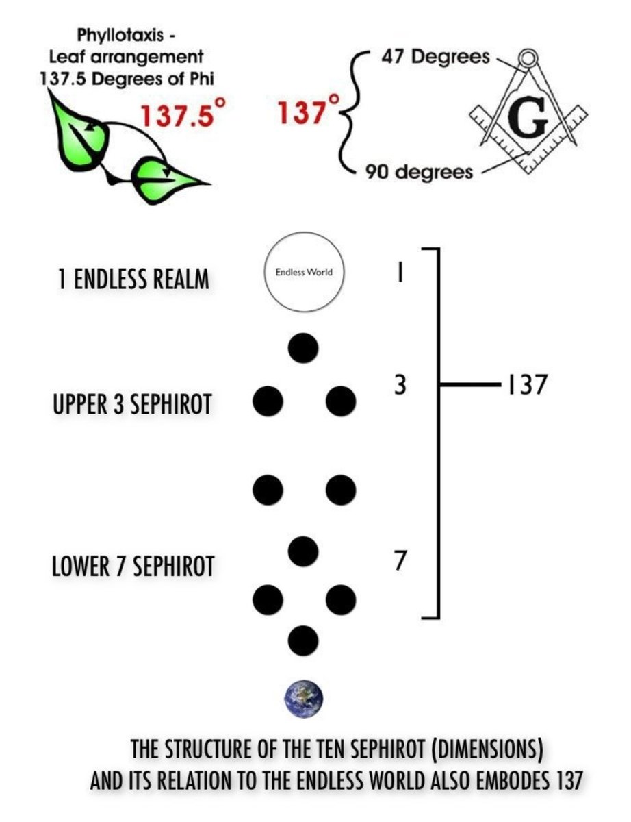 The Brotherhood of Death: Skull & Bones🧵 The Order of Skull & Bones was ...