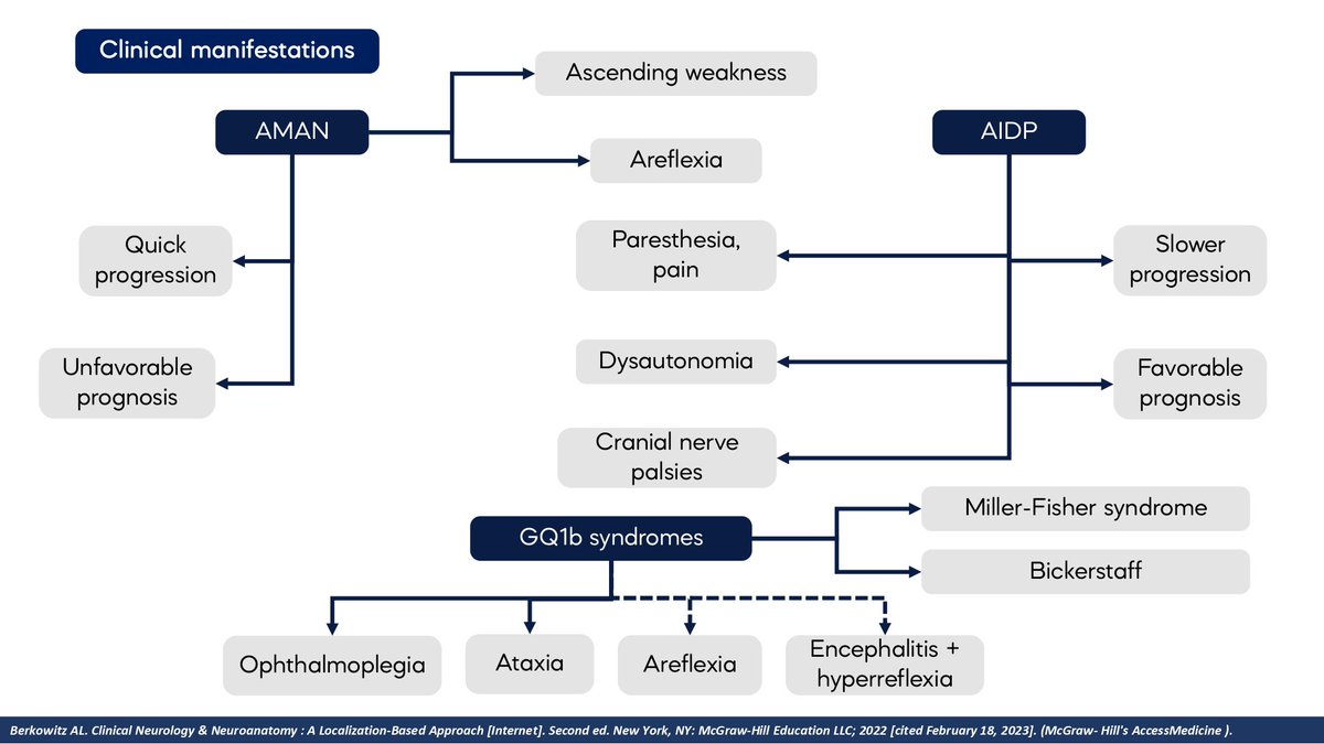 #AANSC: Autoimmune Neurology is almost here and my team and I are ...