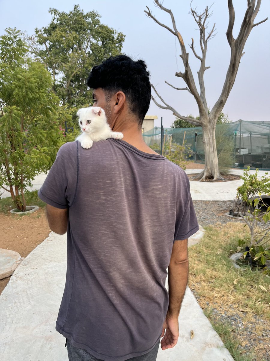 はなもも(hanamomo)(@hanamomoact) - Twilog (ツイログ)