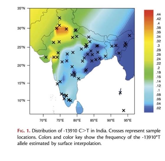 Lactase Persistence Map