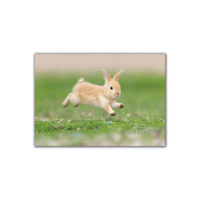 Mitsuru SHIMAMURA(@smbd) - Twilog (ツイログ)