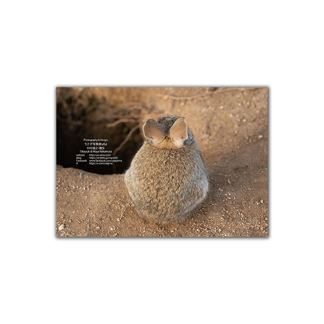 Mitsuru SHIMAMURA(@smbd) - Twilog (ツイログ)